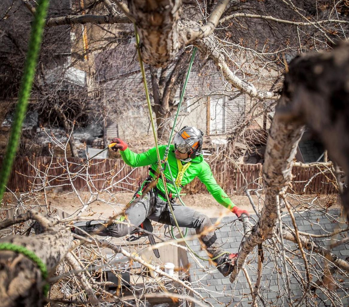 From the Field: Truewerk Ambassador Program | Truewerk